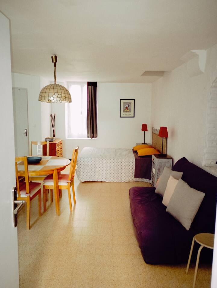 Grand Studio Indépendant 40 M2 - Lodève