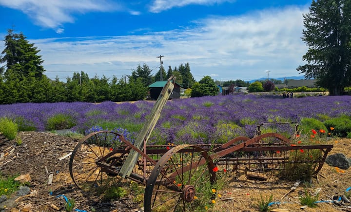 Lux Yurt + Lavender + Mini Golf - Sequim, WA