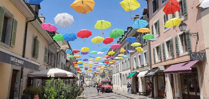 Charming 1br In Historic Carouge - Geneva