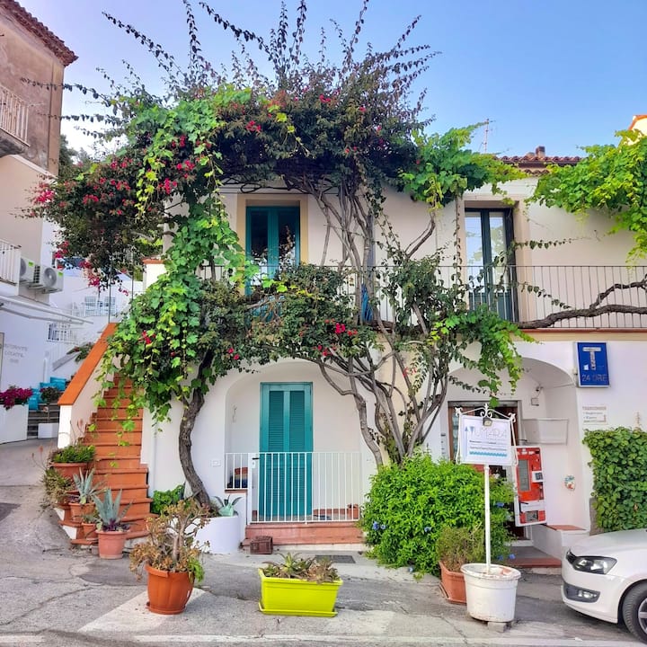 La Perla Del Porto Di Maratea Con Balcone - Maratea