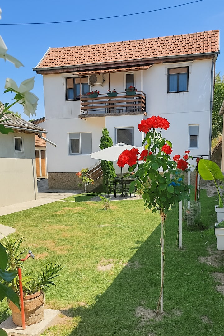 Kuća Amazonija - Apatin