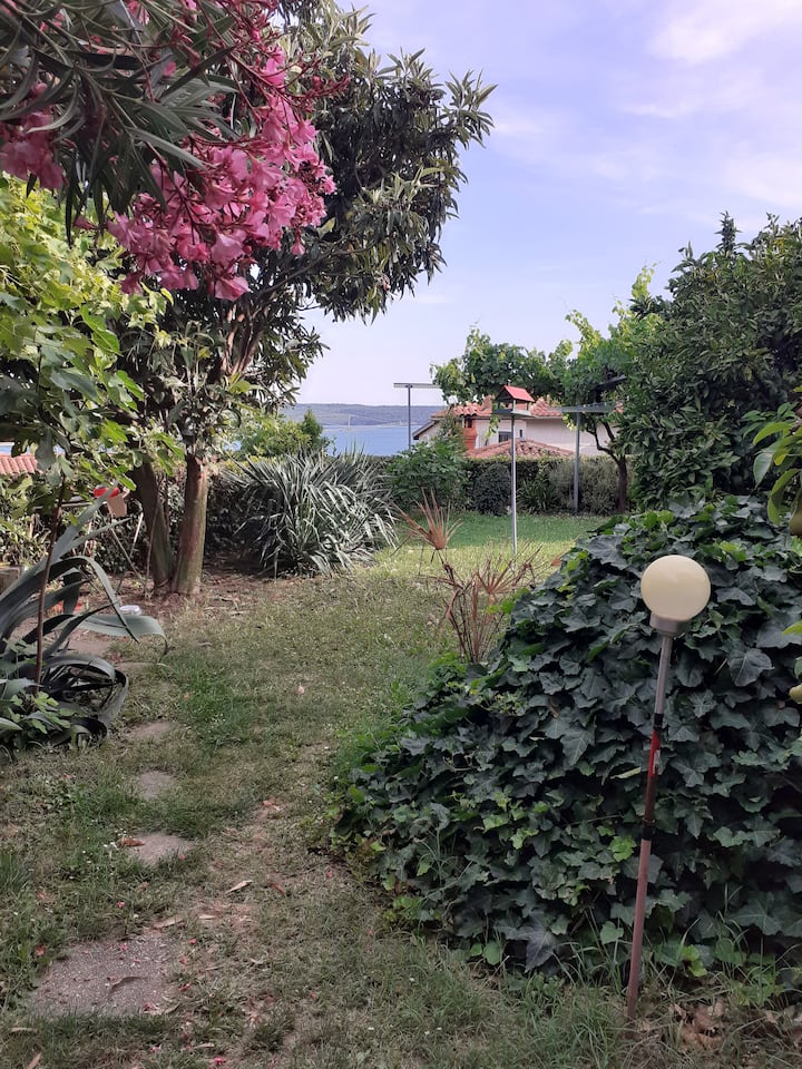 Holiday Apartment With Private Terrace (4+0) - Piran