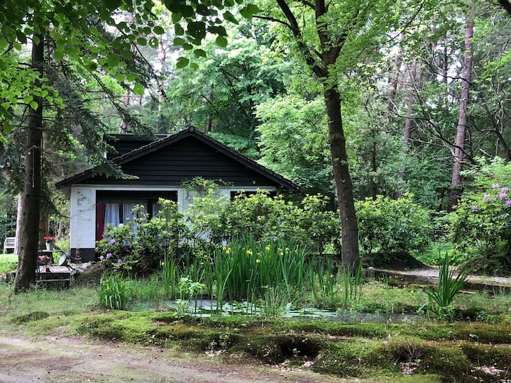 Sfeervol Huis Midden In De Natuur - Epe