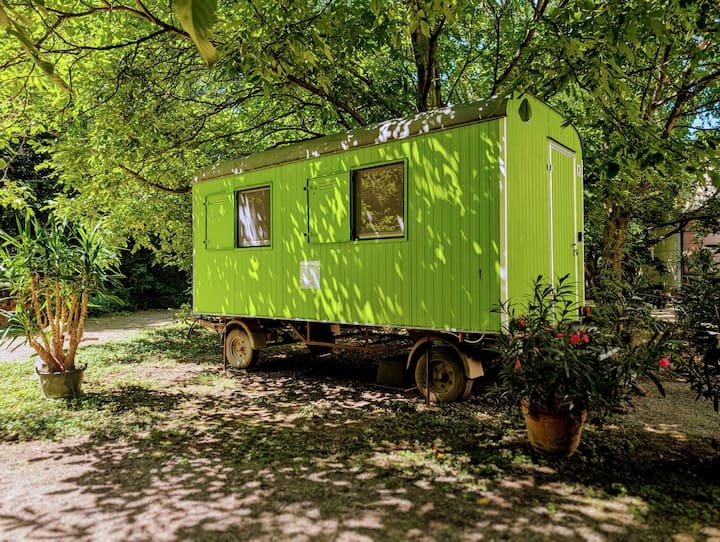 Walnut Wagon - Austria