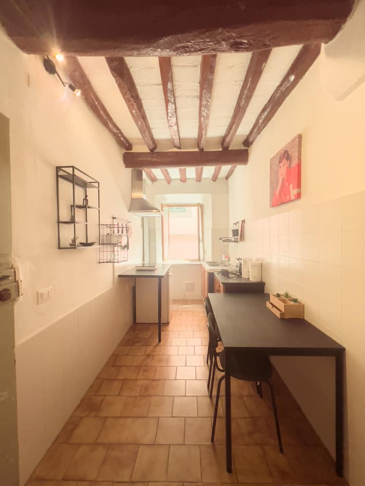 Appartamento Il Gelsomino - Empoli