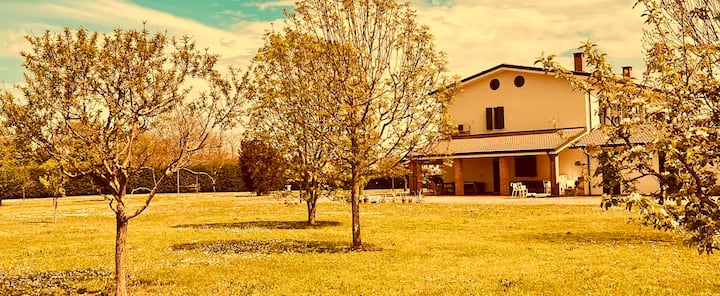 Mantova Immersi Nell'arte E Nella Natura - Mantova