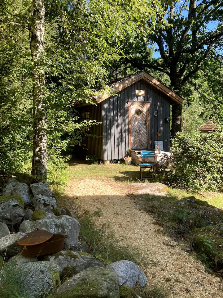 Cabin In The Forest - Henan