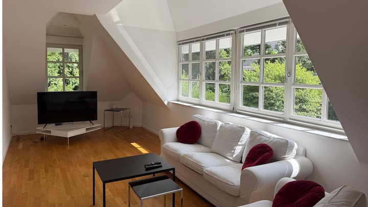 Hardtwalt Penthouse Apartment - Bad Homburg