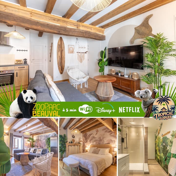 Le Coconut - 5 Min Du Zoo - Saint-Aignan-sur-Cher