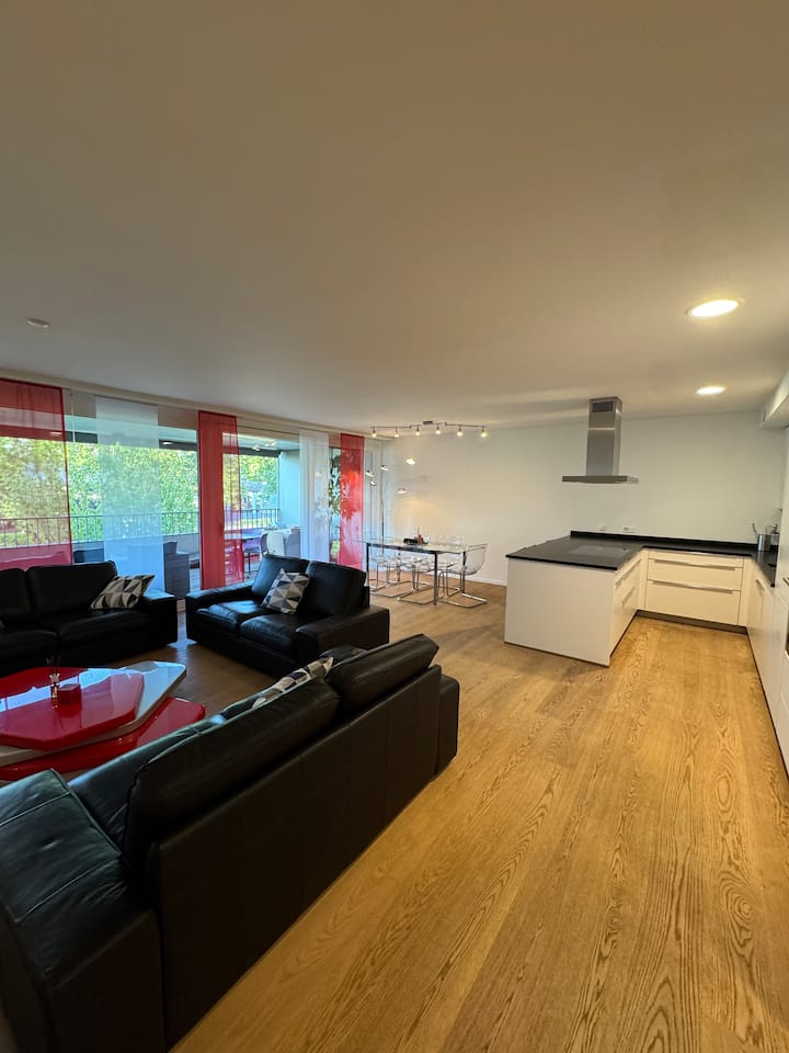 Appartement Contemporain Genève - Geneva