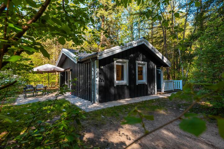 Houtenborg Lodge With Hot Tub | 4 Persons - Hoogeveen