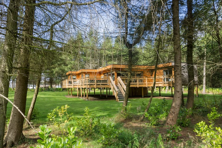 Studford Luxury Lodges - Kingfisher Lodge - Helmsley