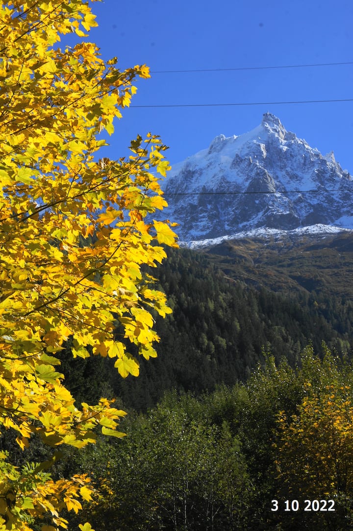 Chalet Martin - Chamonix-Mont-Blanc