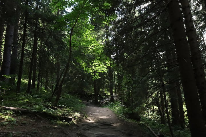 Chalet Martin - 霞慕尼