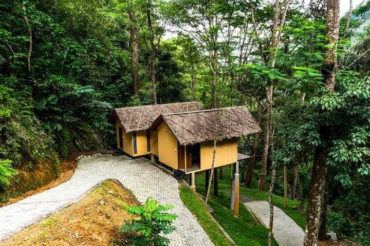 Unique Waterfall Cottage With Couple's Retreat - Kuttikkanam