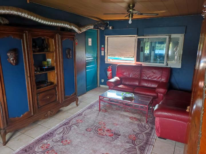 Vue Fleuve - Camargue