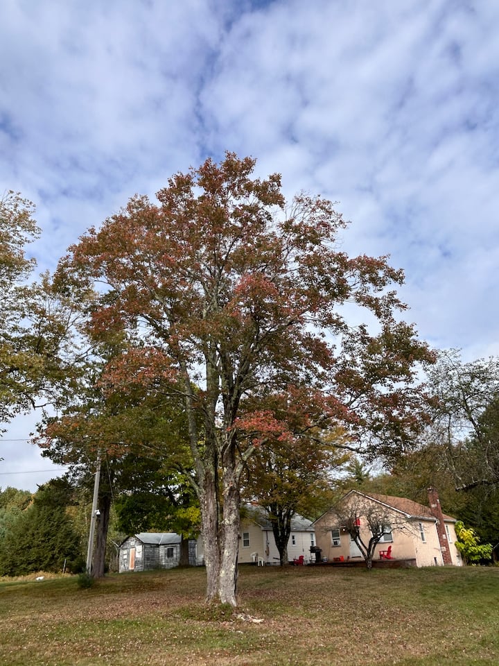 Catskills Bear Hill 2br Getaway - Rock Hill, NY