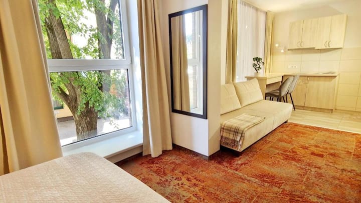 Old Town 15 Min Walk Sunny Quiet Cozy Family Room - Vilnius