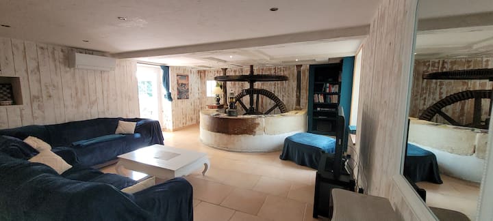 Ancien Moulin Semi-troglodyte - Proche Zoo Beauval - Indre-et-Loire