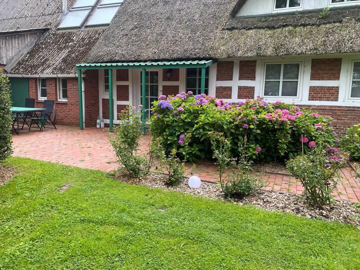 Exklusives Refugium Erleben - Freiburg
