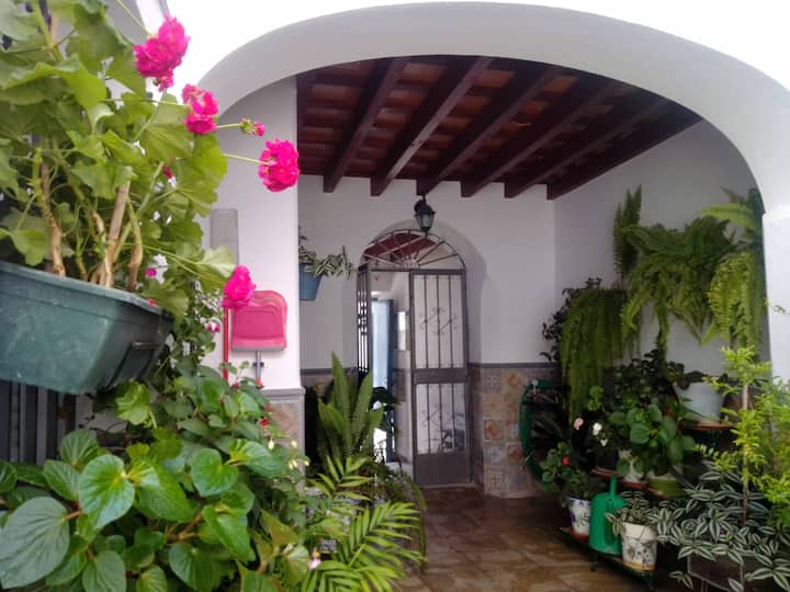 El Barrio - Medina-Sidonia
