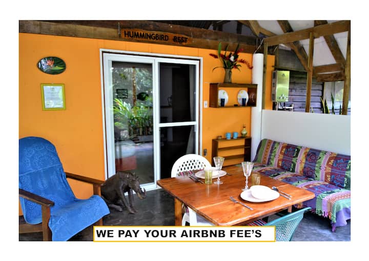 Cayo District Vacation Rentals & Homes - Belize | Airbnb
