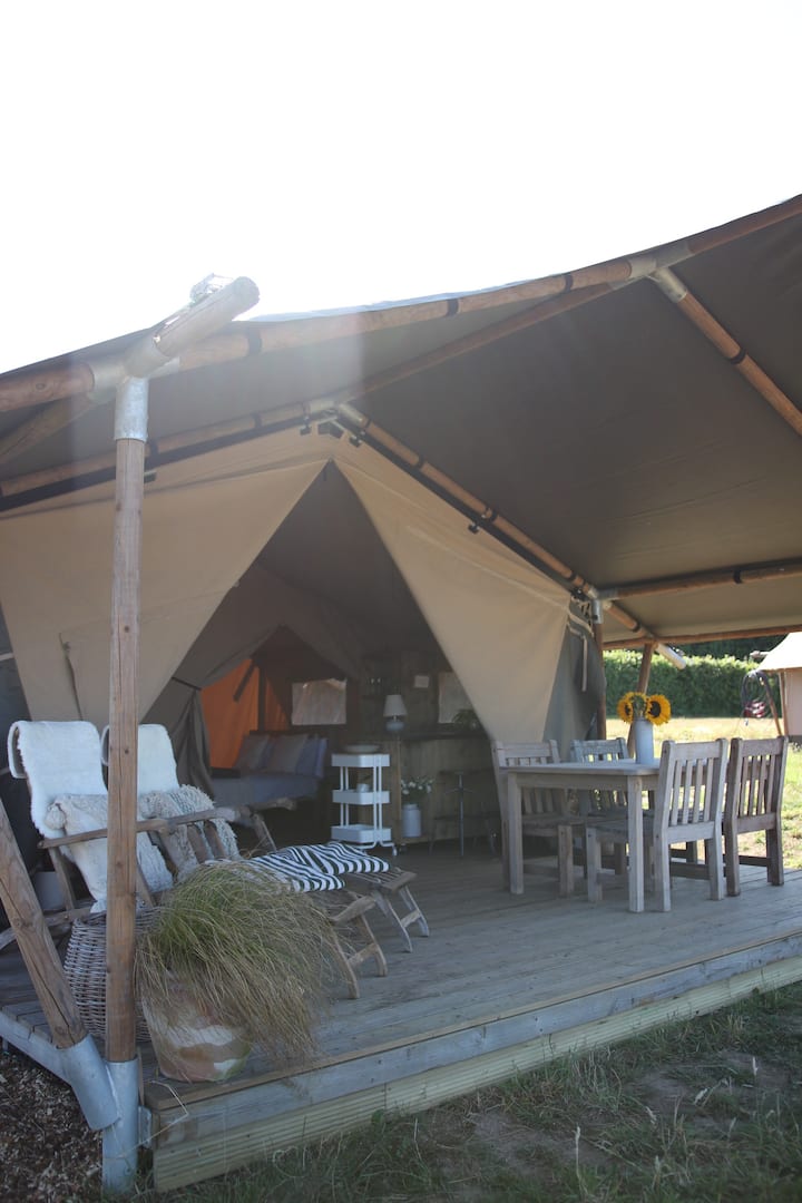 Glamping Safari Tent (Swallows) New Forest - Hampshire