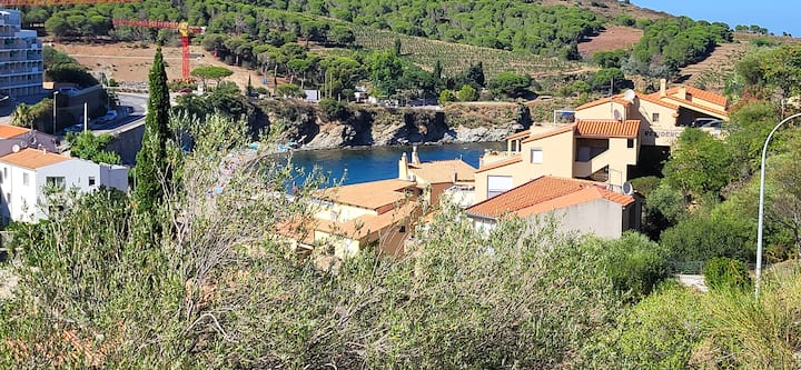 Somptueuse Vue Entre Mer Et Montagne - Port-Vendres