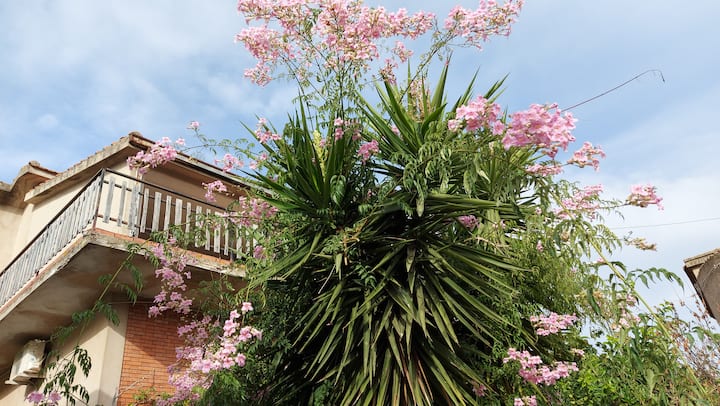 Home Green-villetta Indipendente - Villa Verde