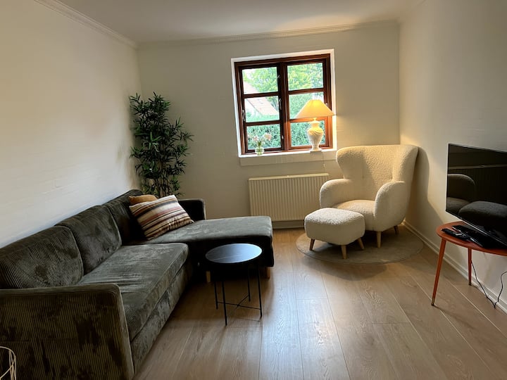 Hyggeligt Hus Med Have - Odense