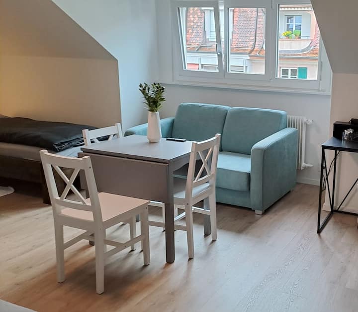 Family Apartment Without Balcony - Bern