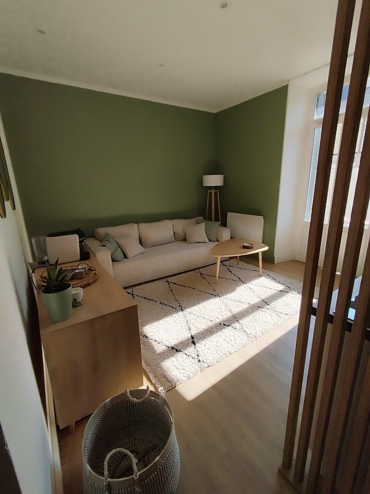 Logis Cosy Du Centre Ville - Aix-les-Bains