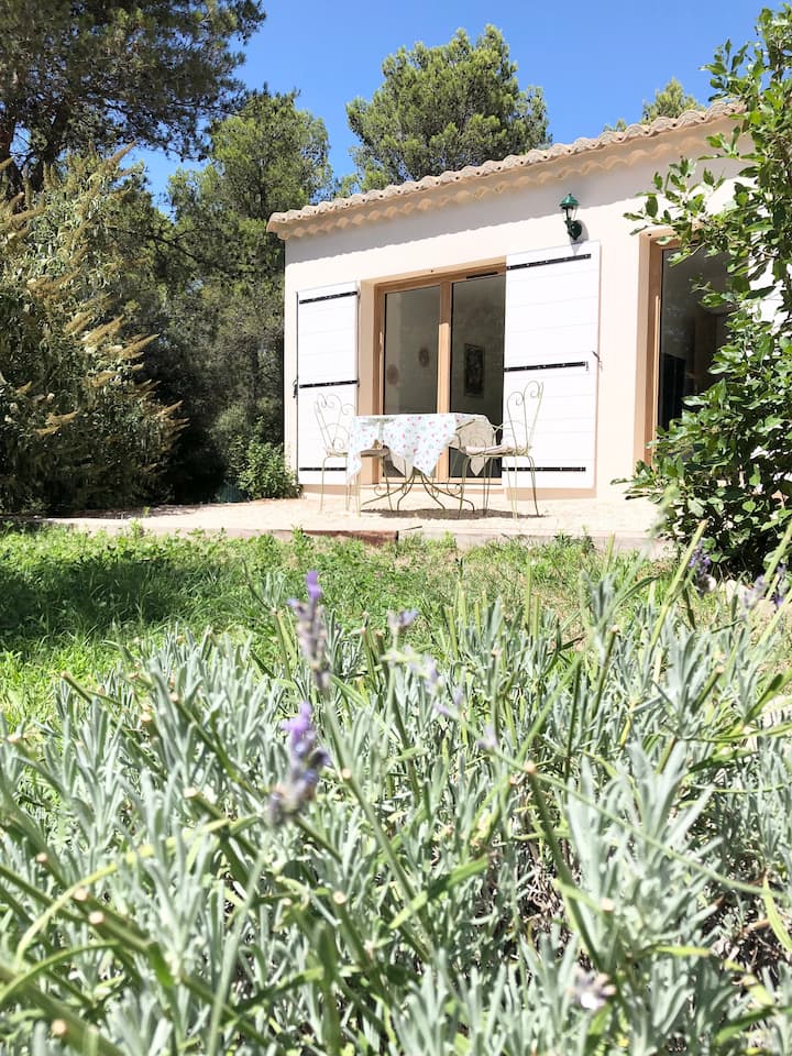 Gîte Luberon - Ménerbes