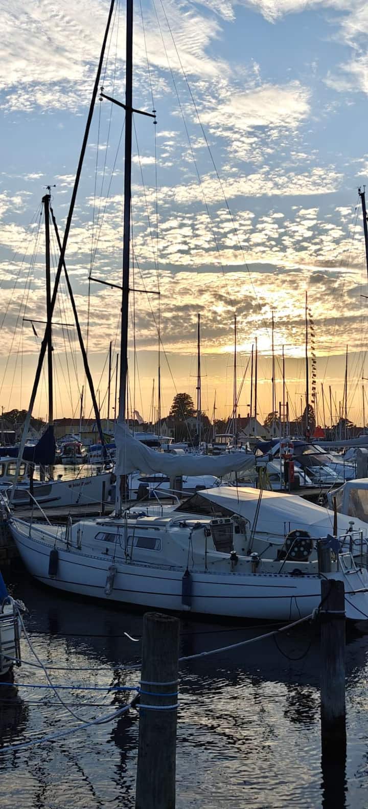 Hyggelig Båd Med Fantastisk Udsigt Til Havnen - Copenhagen Airport (CPH)