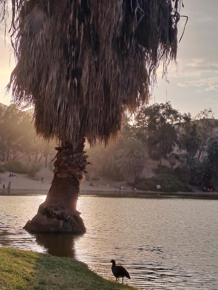 Depa A 10  Min De Huacachina. Ideal Para Familia - Ica