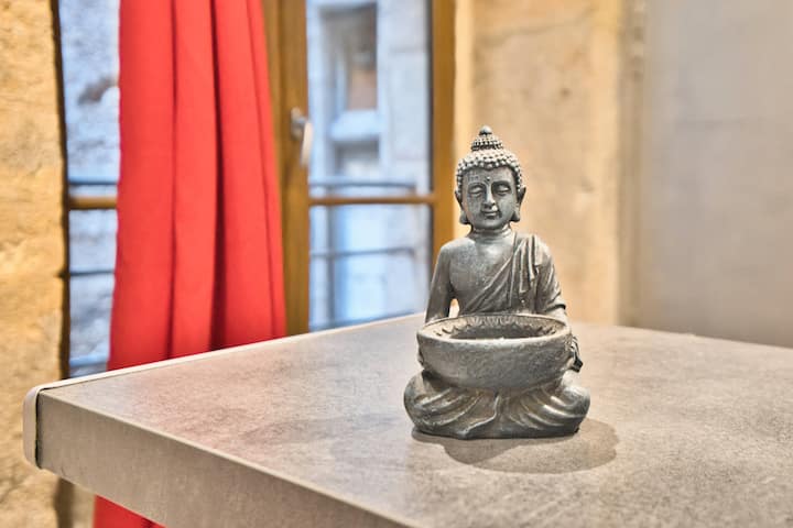 Studio Limogeanne : Centre Historique Et Calme - Périgueux