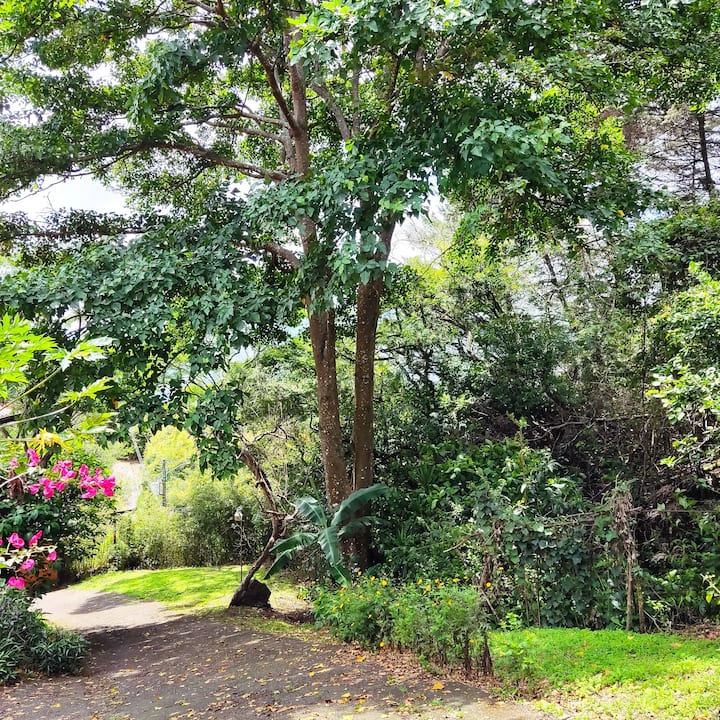 Recinto Rodeado De Naturaleza - San José