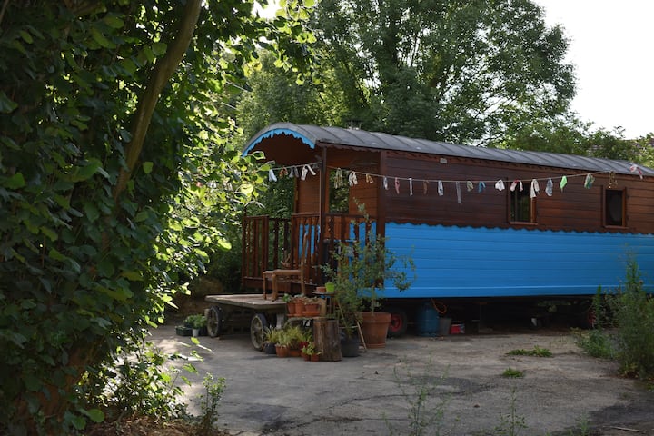 La Roulotte Du Pivert - Brugelette