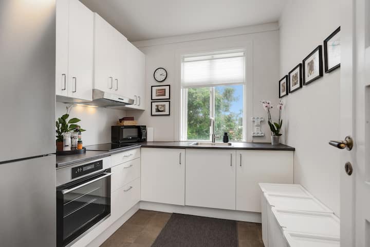 Cheerful 4br - Heart Of Down Town - Reykjavík