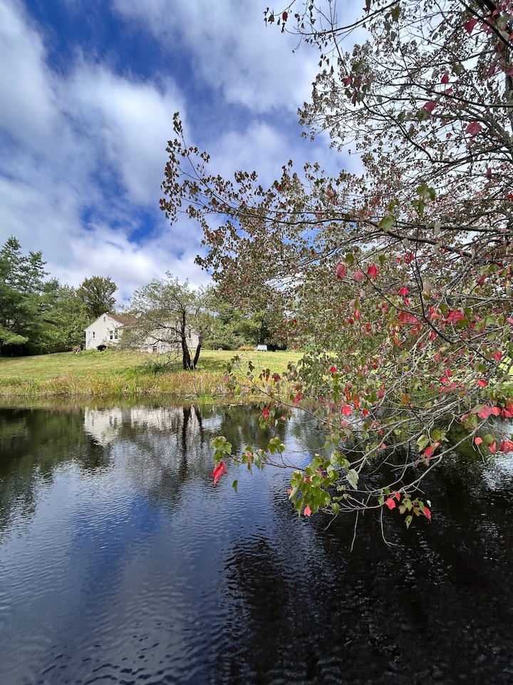 Catskills Fall Foliage Woodland Cabin By Ur Pond! - Rock Hill, NY