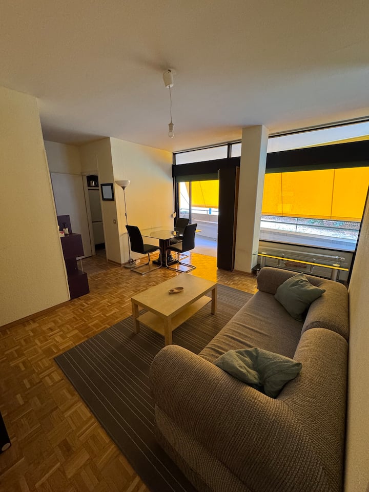 Appartement Cosy Et Bien Situé - Ginevra