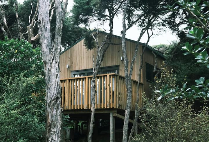 The Rua Nuka Cabin - Raglan
