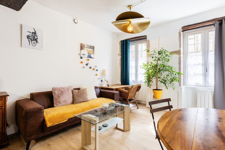 Le "Mignonney" - 2 Pers - Hyper Centre - Bourg-en-Bresse