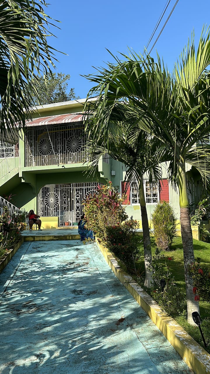 Phoenix Serenity Villa And Tours - Negril