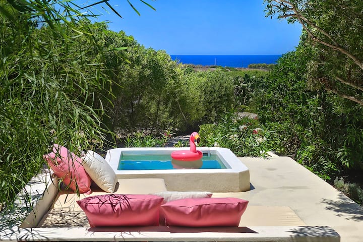 Fenicottero Rosa - Pachino