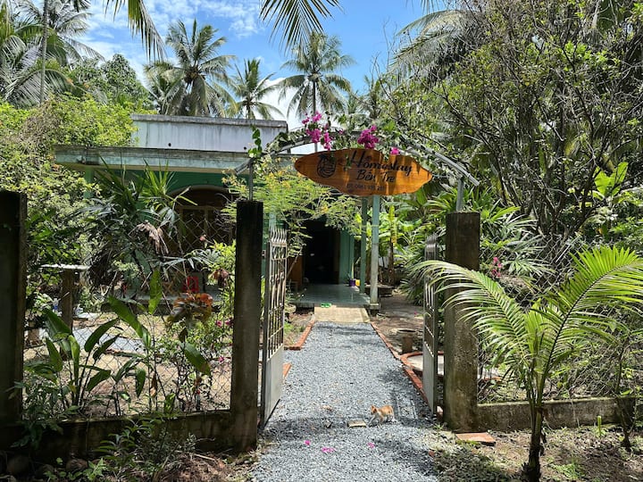 Coconut Soul Room - Ben Tre