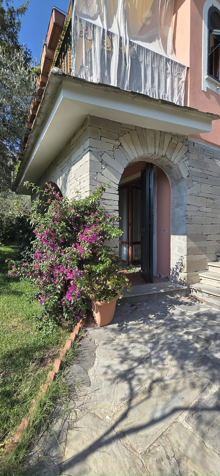 La Tigula
Cin It010028c2dmonfzkr - Lavagna