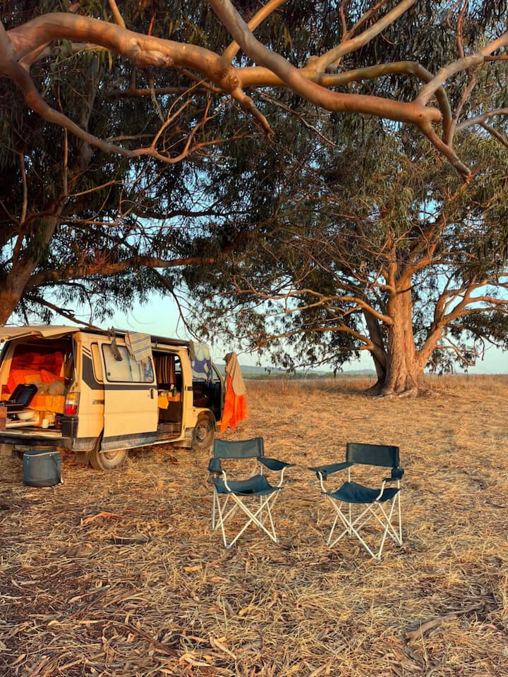 Guy-laurent - Aljezur