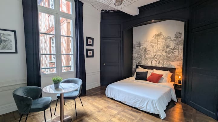 L'hermine - Appartement Centre Historique Rennes - Hotel ibis Rennes Centre Gare Sud