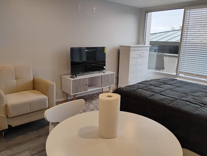 Furnished Private Studio Free Parking & Util. Gym - Glastonbury